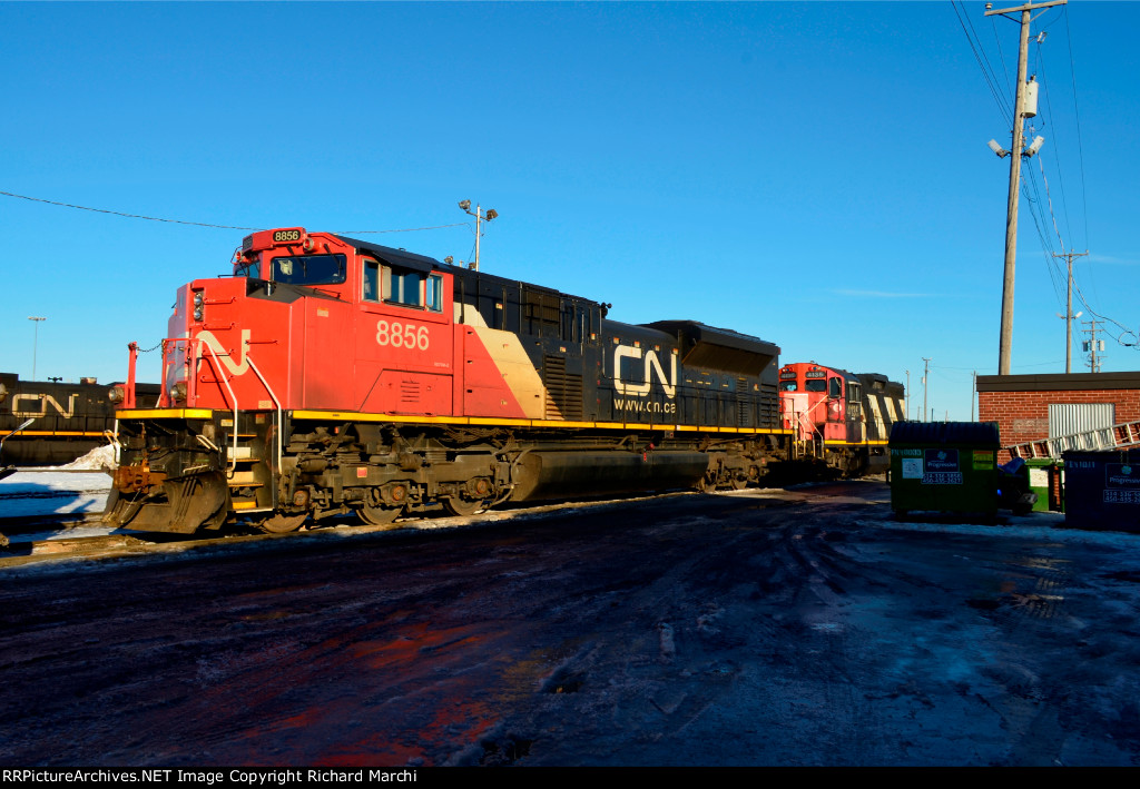 CN 8856